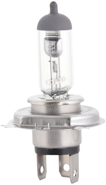 10019151 Bosch Range Round Halogen Lamp