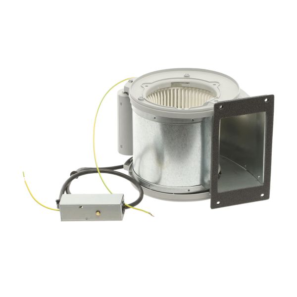 Fisher & Paykel 791959 Range Complete Motor 120V Head | HnKParts